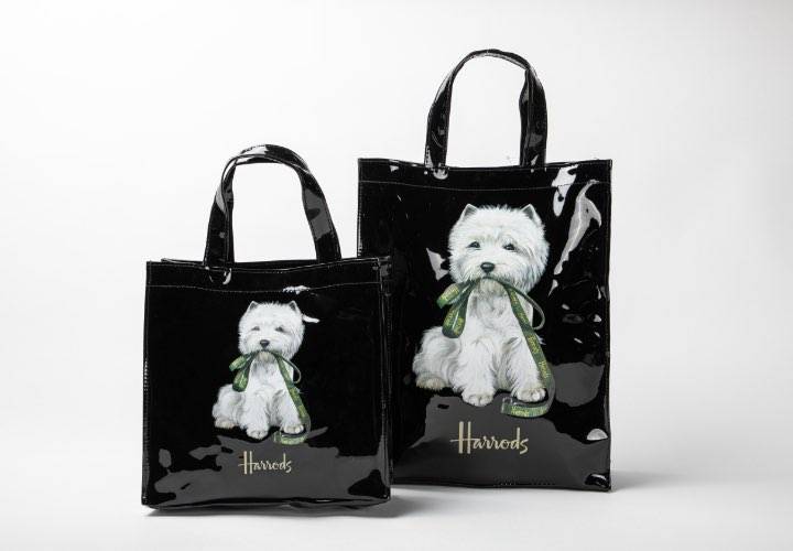 Customization | Polyking